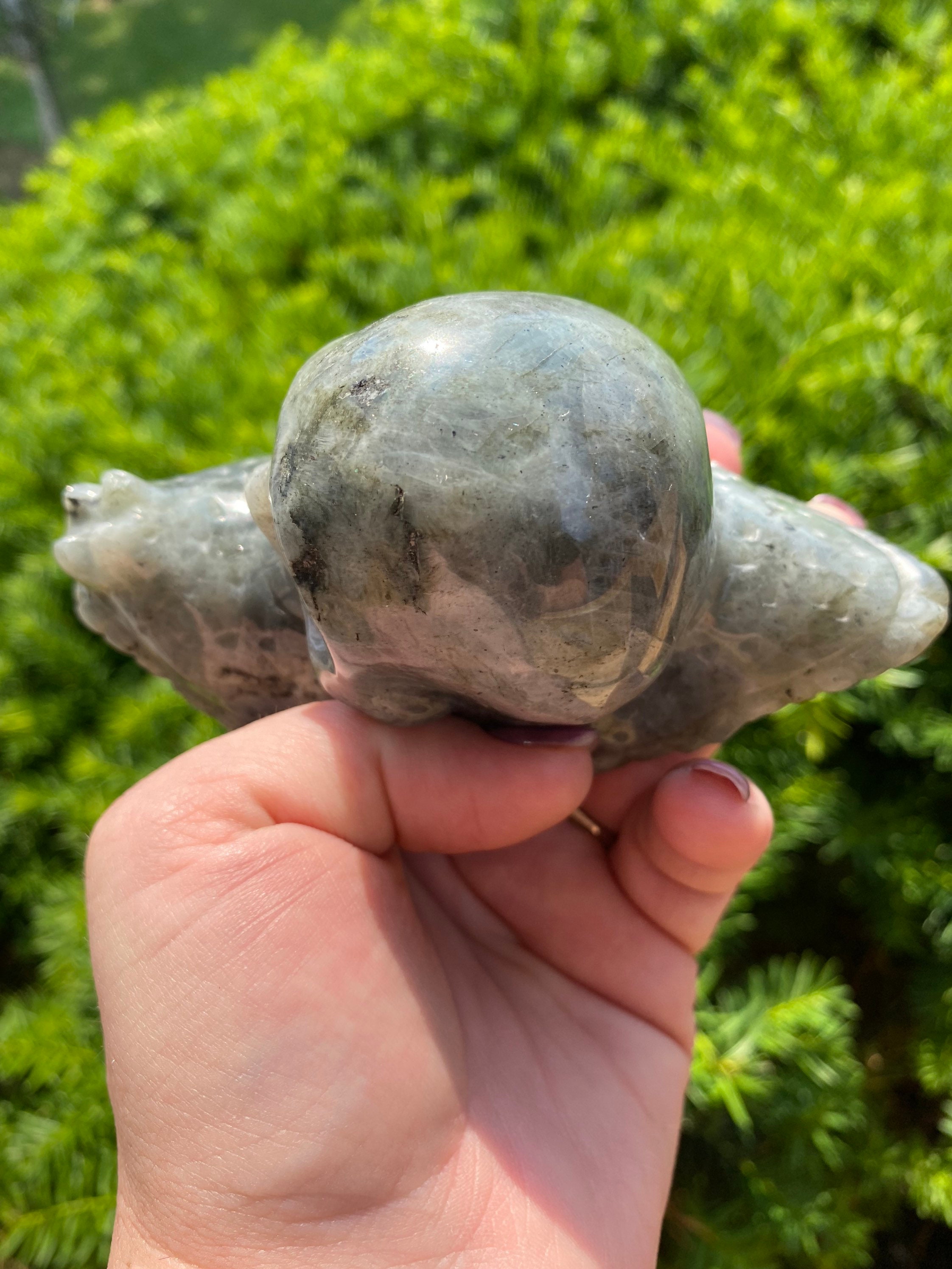 Moonstone Snail Shell Skull Head - Etsy UK