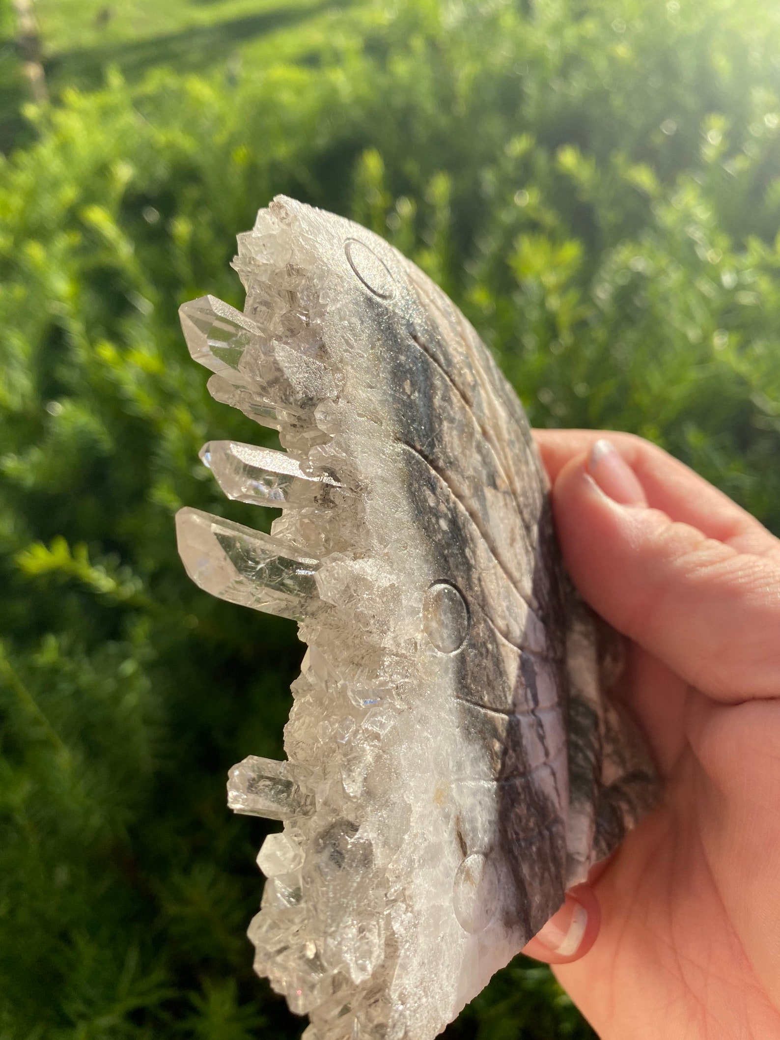 Butterfly Clear Quartz Points Cluster - Etsy