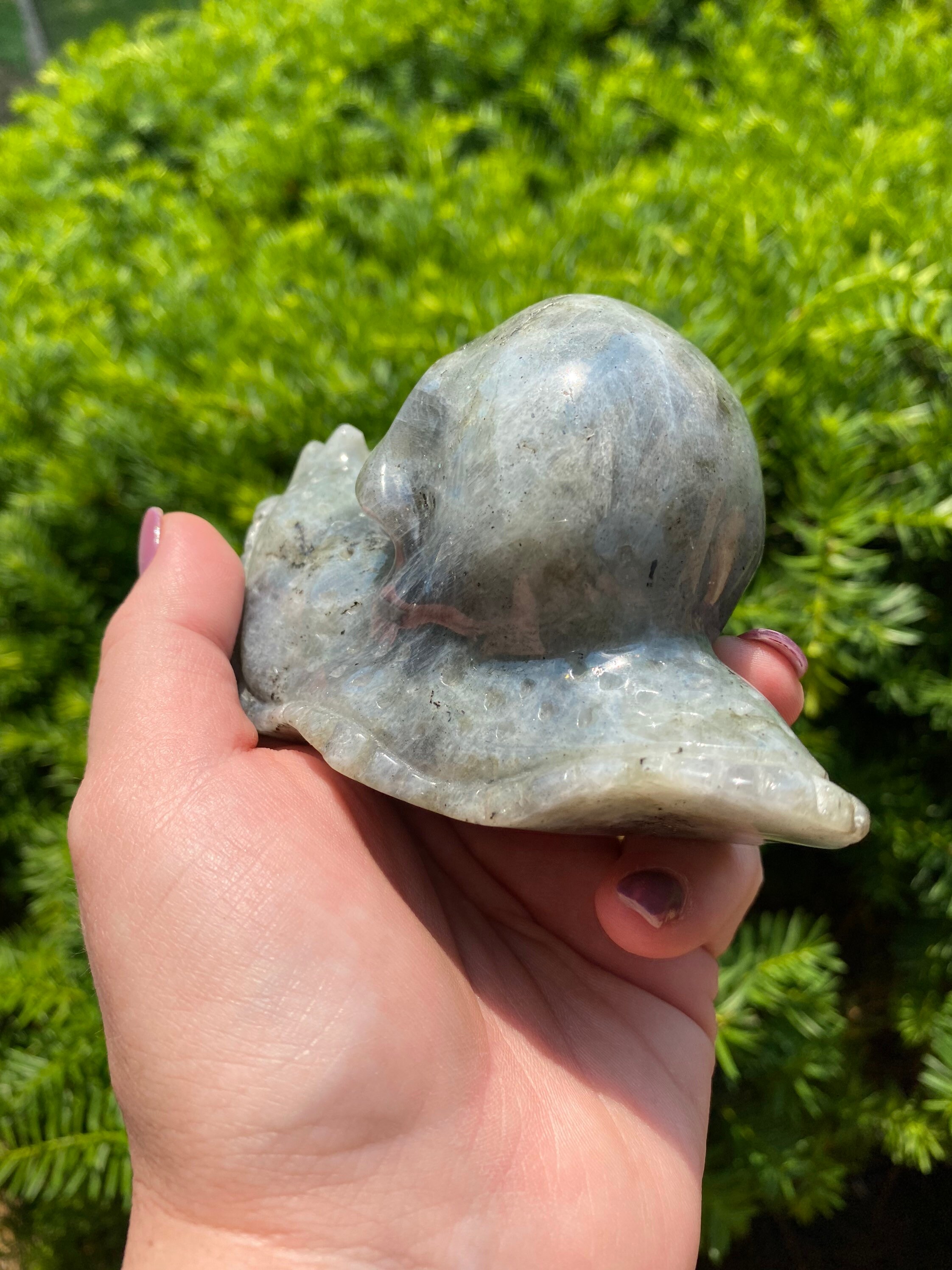 Moonstone Snail Shell Skull Head - Etsy UK
