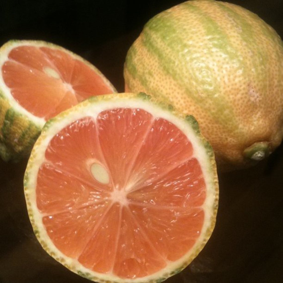 Pink Lemon Variegated - Etsy