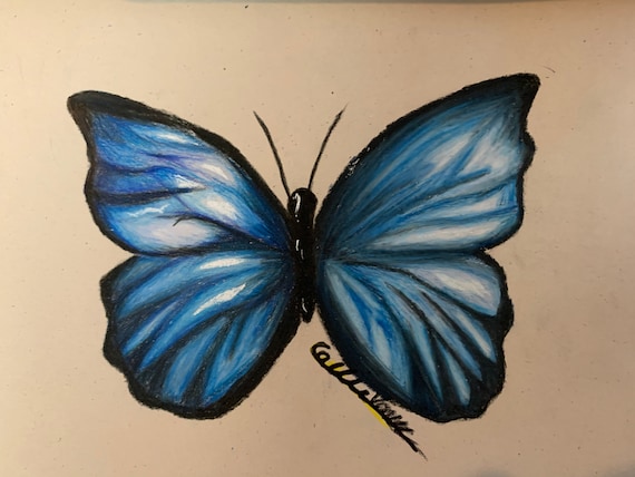 Blue Butterfly Drawing