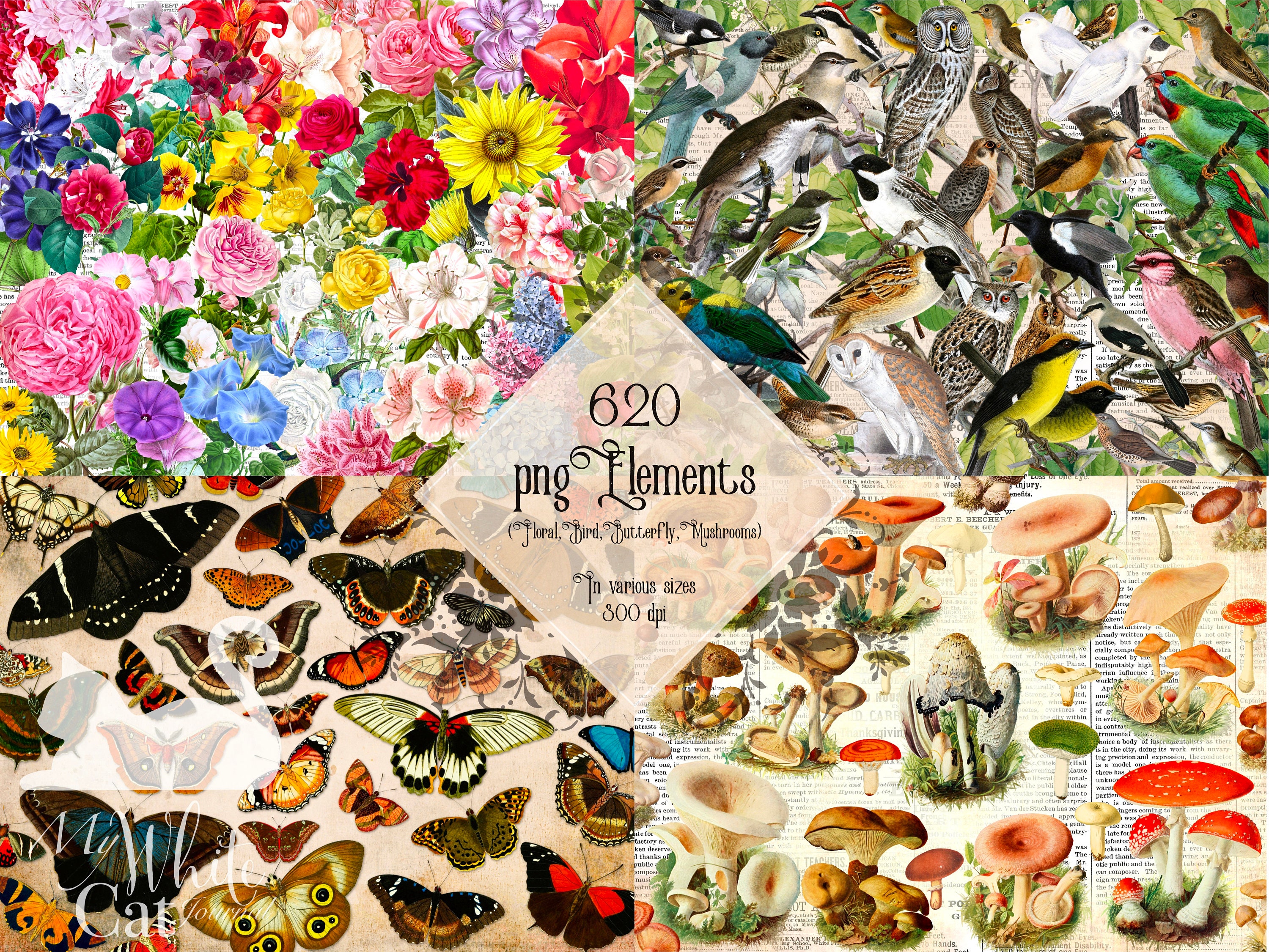 1700 Graphics Bundle, Ephemera, Clipart, Collage Paper, Seamless ...