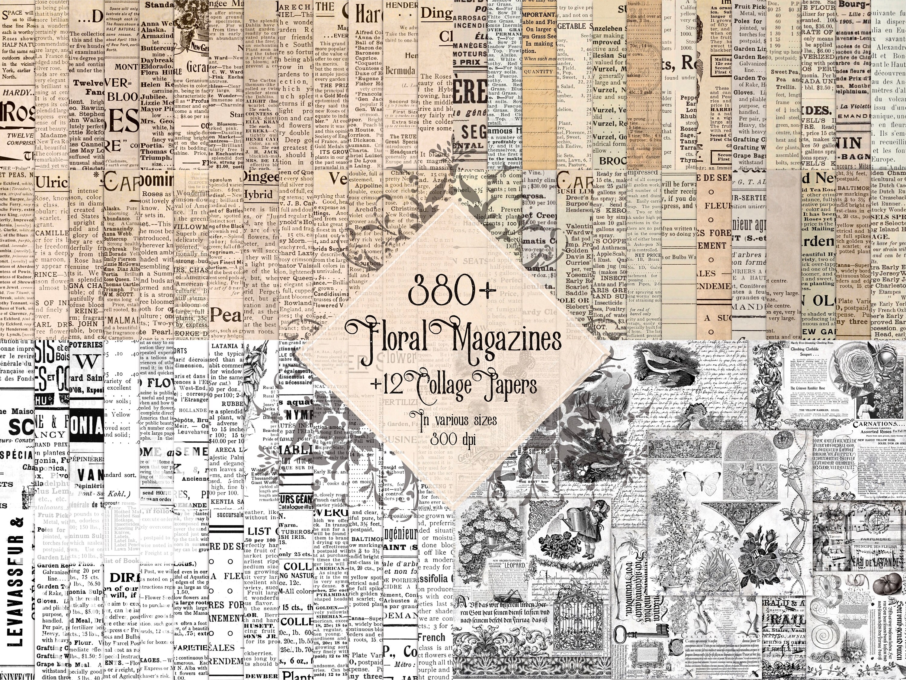 1700 Graphics Bundle, Ephemera, Clipart, Collage Paper, Seamless ...