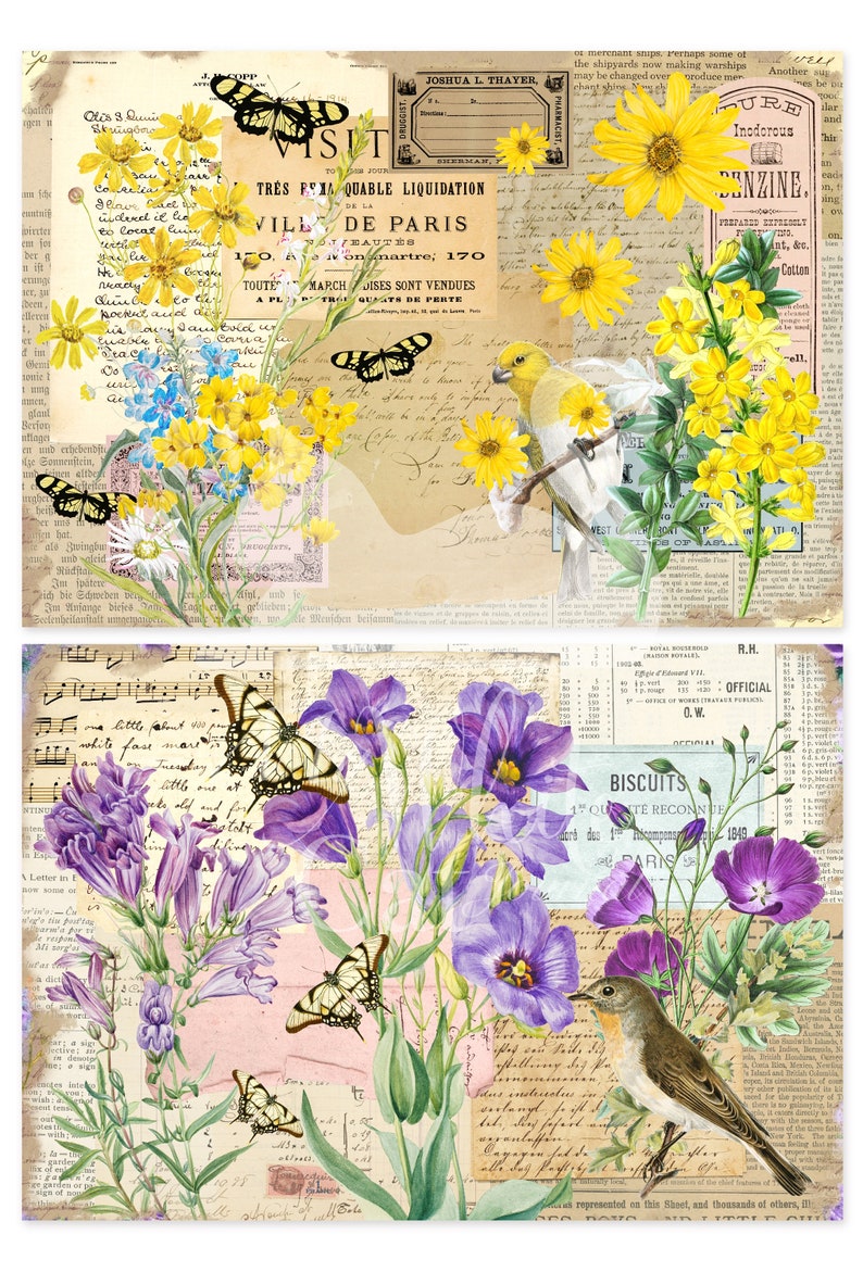 Junk Journal, Butterfly, Collage Paper, Master Board, Vintage, Ephemera ...