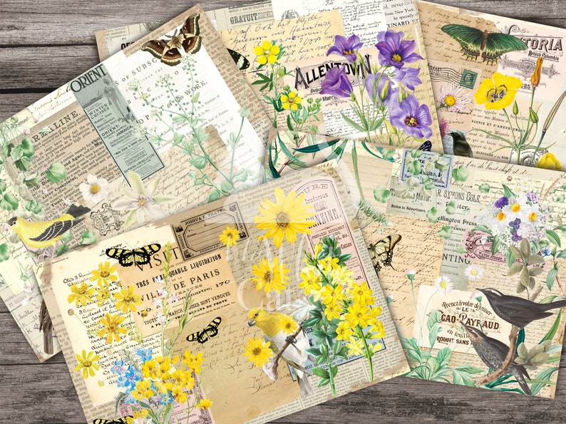Junk Journal Butterfly Collage Paper Master Board Vintage - Etsy