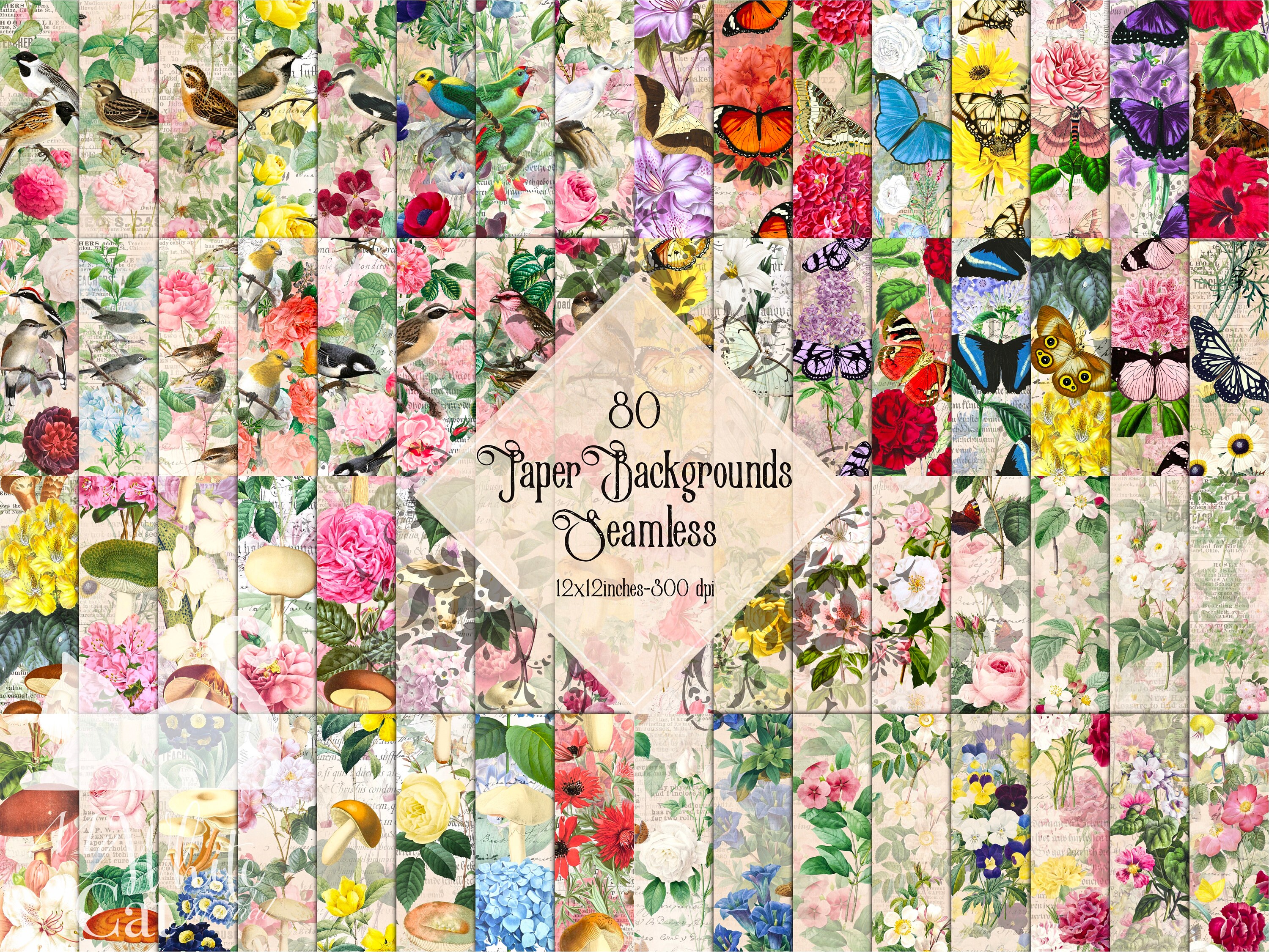 1700 Graphics Bundle, Ephemera, Clipart, Collage Paper, Seamless ...
