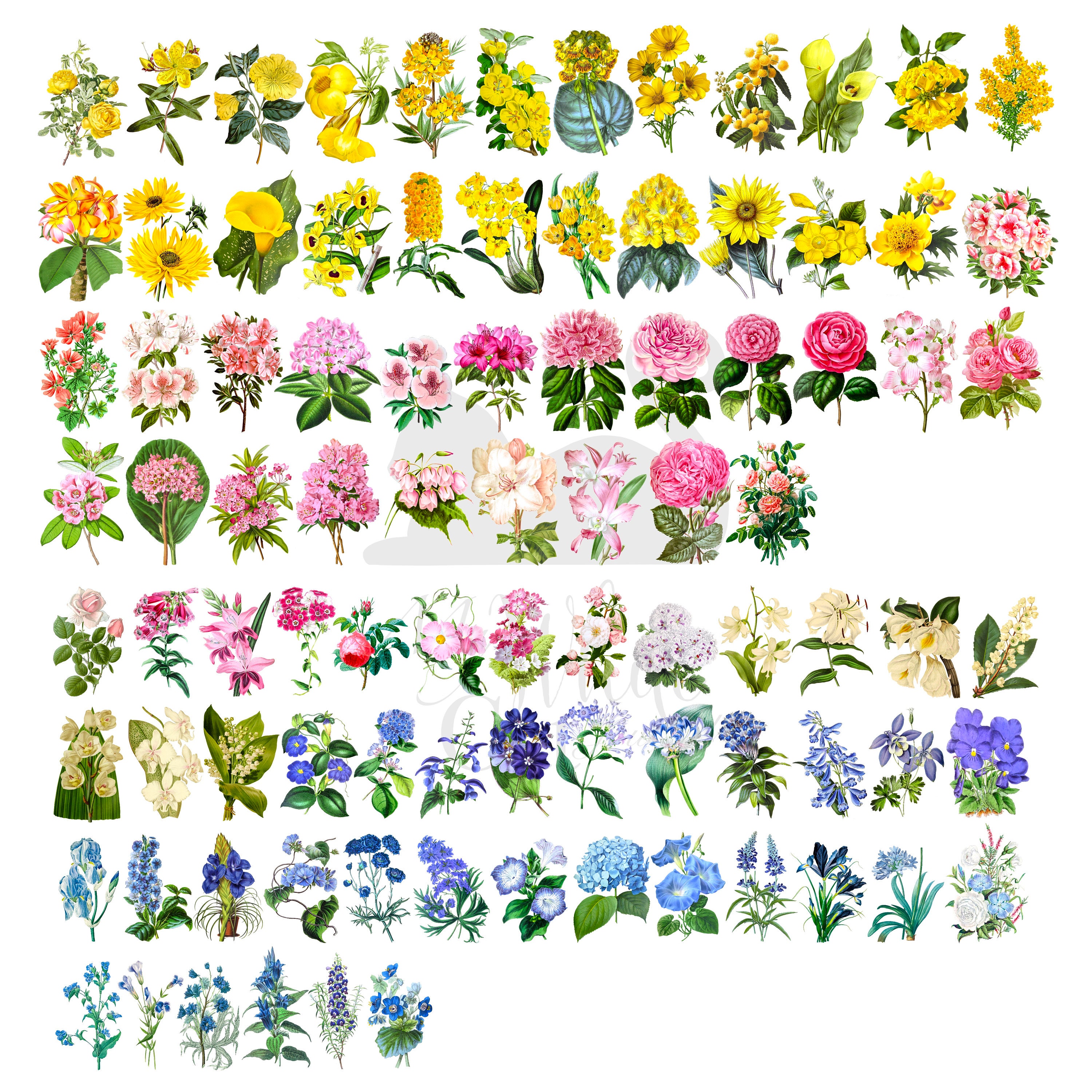 Junk Journal Floral Clipart Graphics Bundle Vintage - Etsy