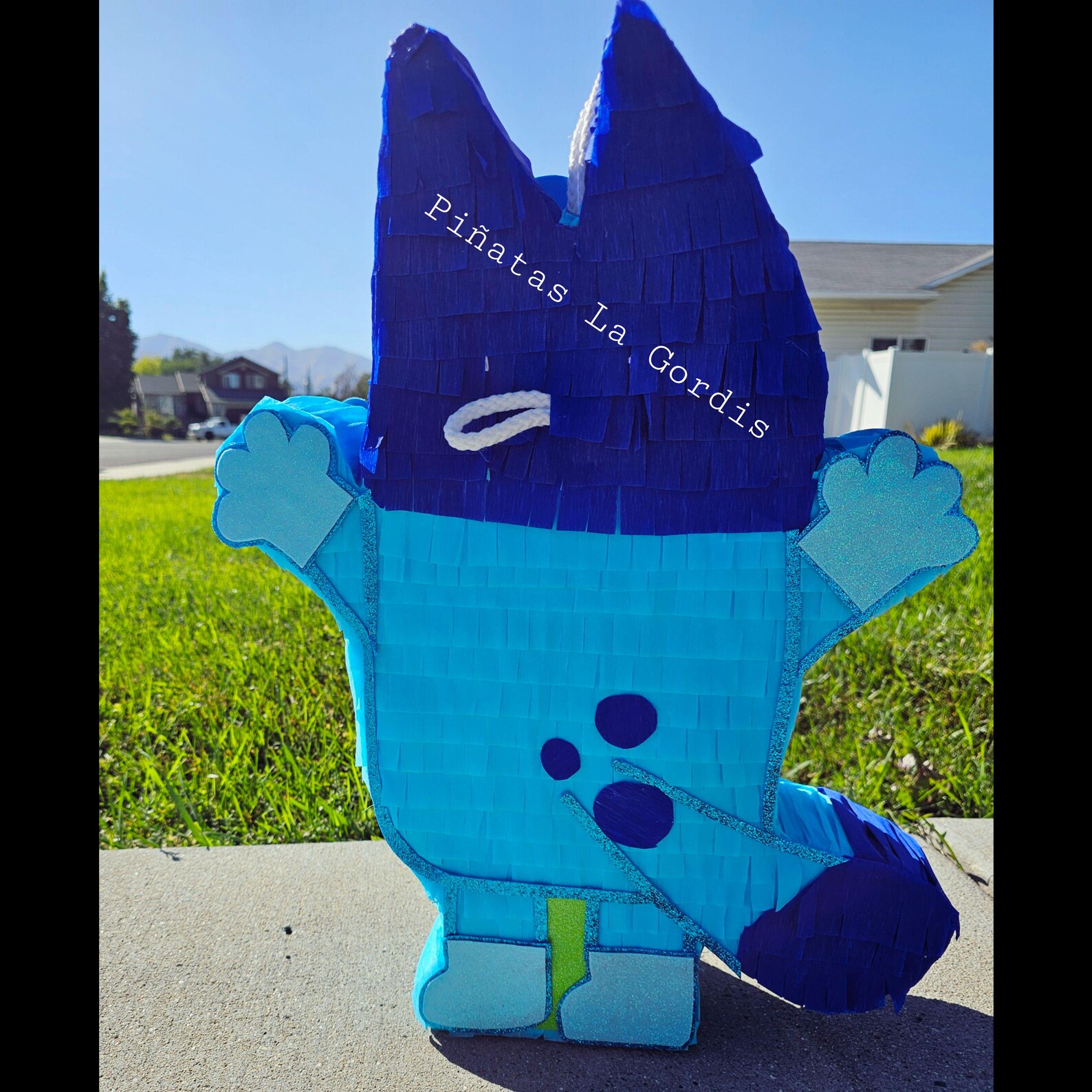 Bluey Piñata/ Bingo Piñatas for Kids/ Piñatas for Boys/ Piñatas for ...