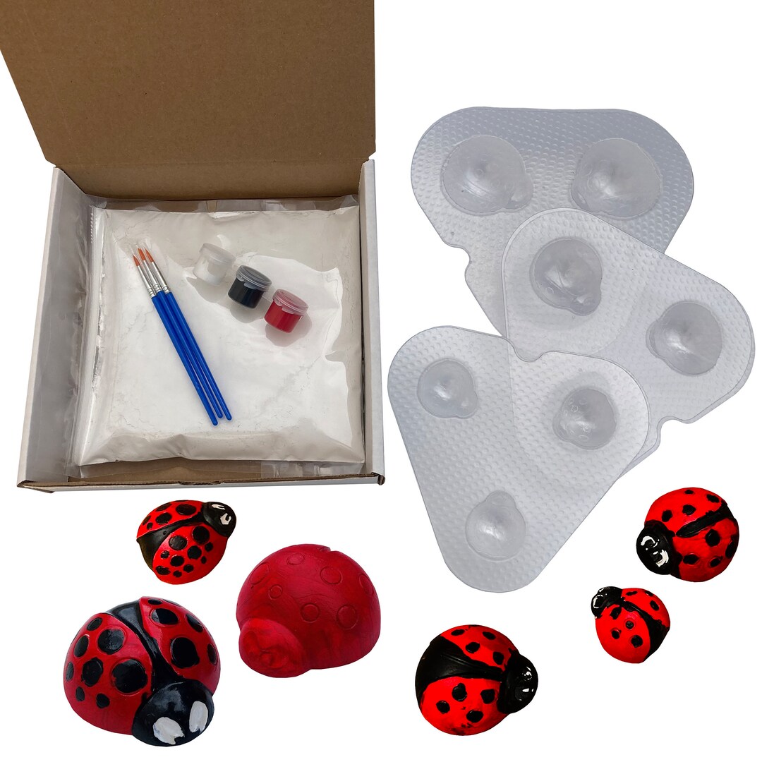 AUTUMN DIY Plaster of Paris Ladybugs Art and Craft Kit, Art Supplies ...