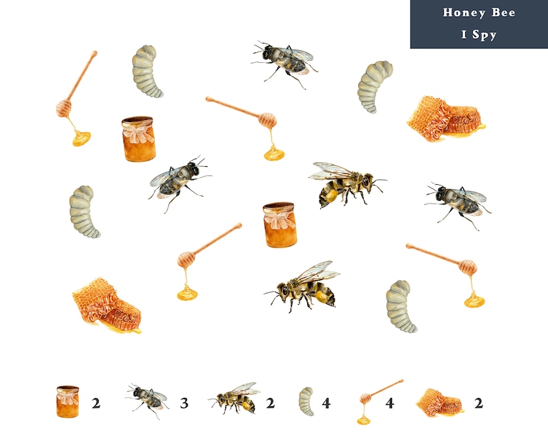 Bee Unit/homeschool Printables/preschool Printables/homeschool Digital ...