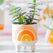 Mini Rainbow Planter on Legs Planter for Small Plants Planter for ...