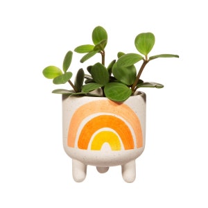 Mini Rainbow Planter on Legs Planter for Small Plants Planter for ...
