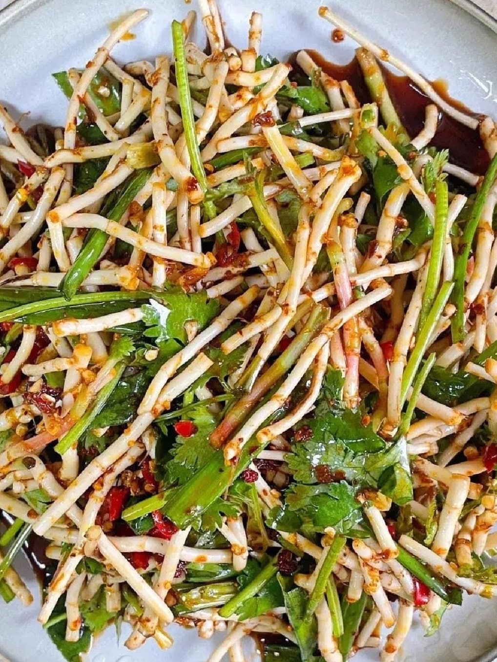 Fish Mint/houttuynia Cordata/fishwart/鱼腥草（折耳根)，live Plants, Fully ...