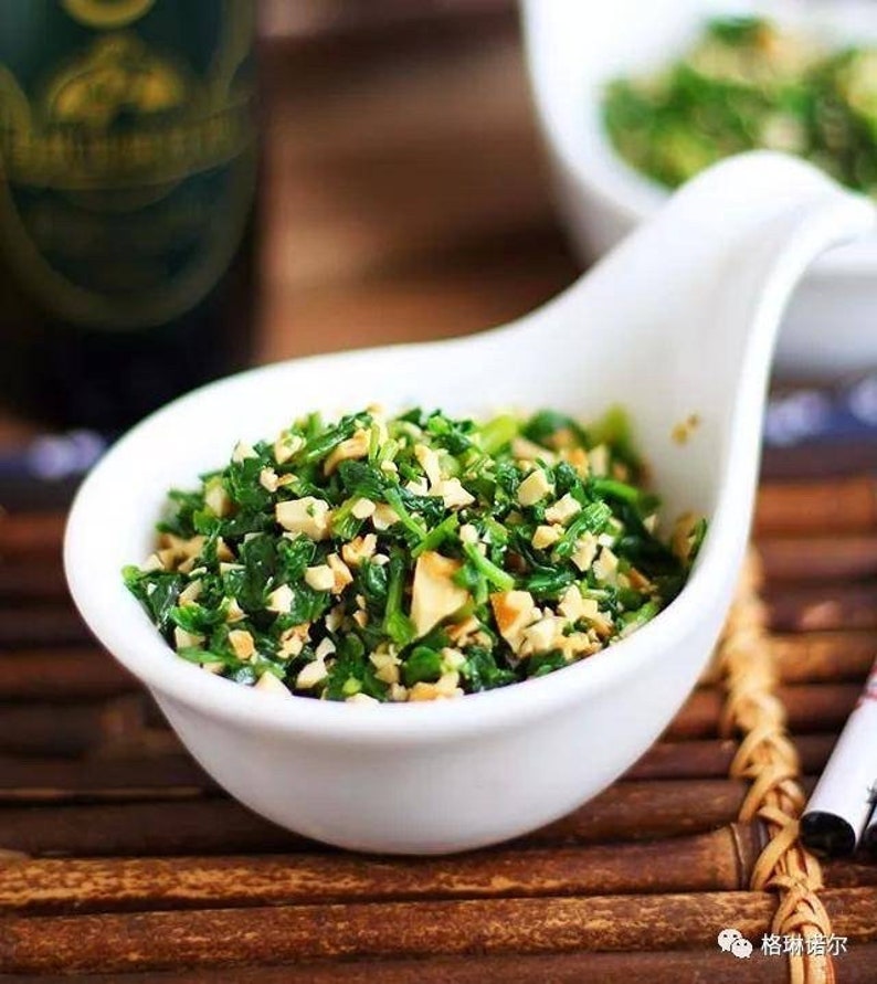 Indian Aster /indian Kalimeris / Malan (马兰头), Chinese Herb, 10 Rooted ...