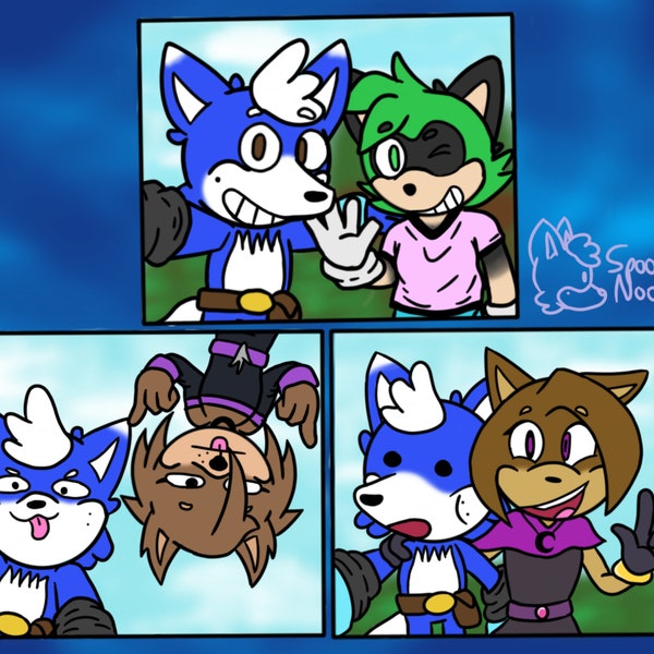Sonic Oc Commissions - Etsy