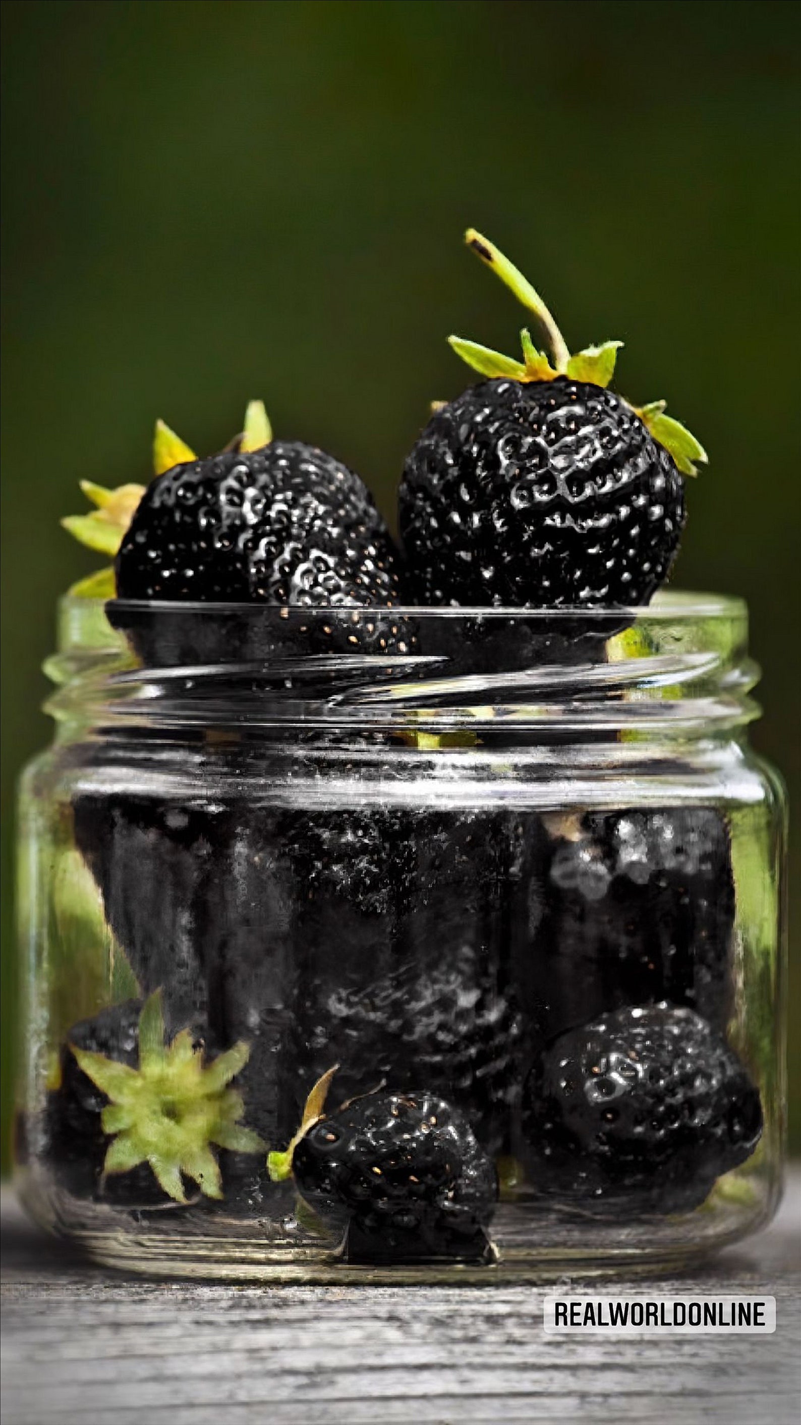 10 Seeds of BLACK STRAWBERRY Black Strawberry High Quality - Etsy