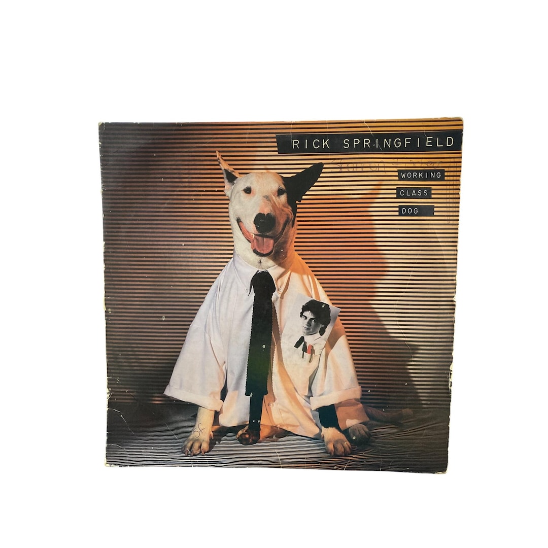 Rick Springfield working Class Dog Vinyl Album 1981 - Etsy