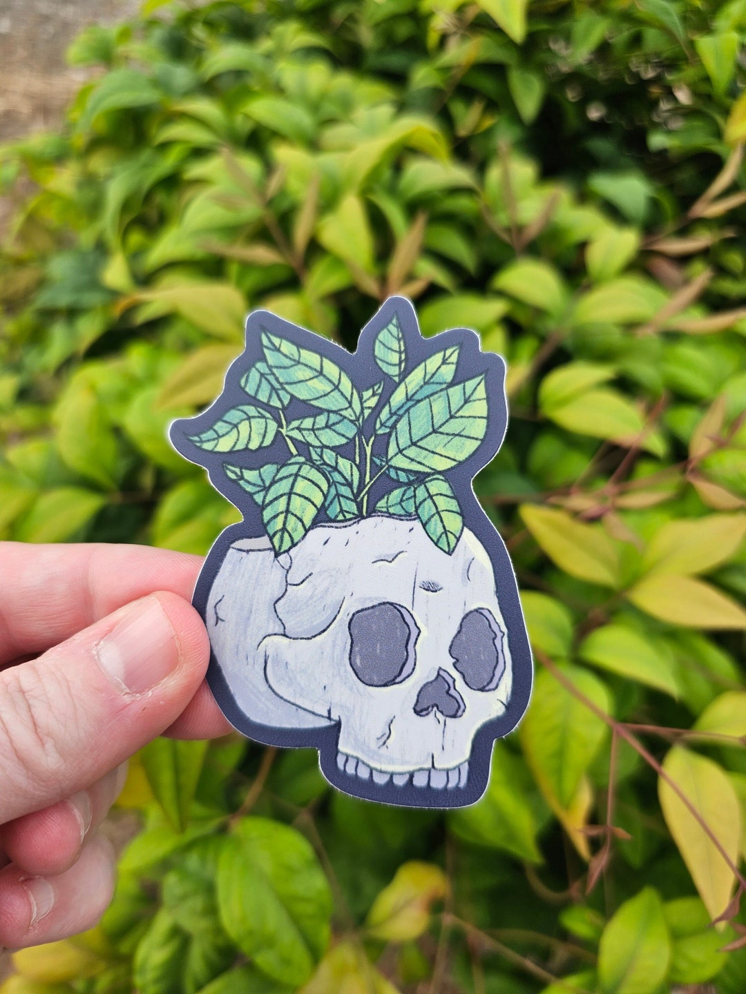 Skull Planter Vinyl Sticker Plant Person Sticker - Etsy