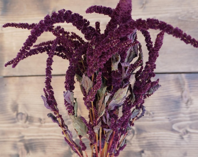 Dried Amaranth Flower Bouquet - Etsy