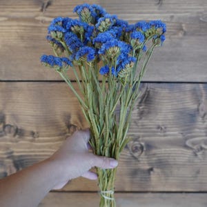 Dried Blue Statice Bouquet - Etsy