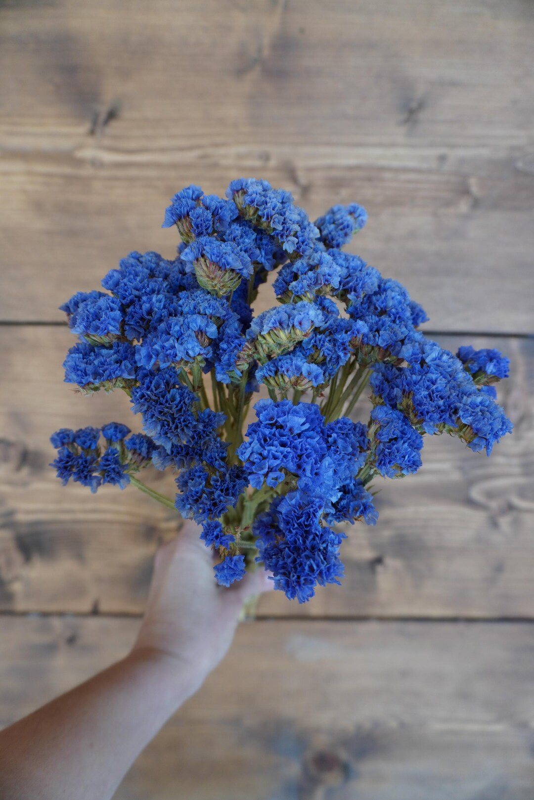 Dried Blue Statice Bouquet - Etsy