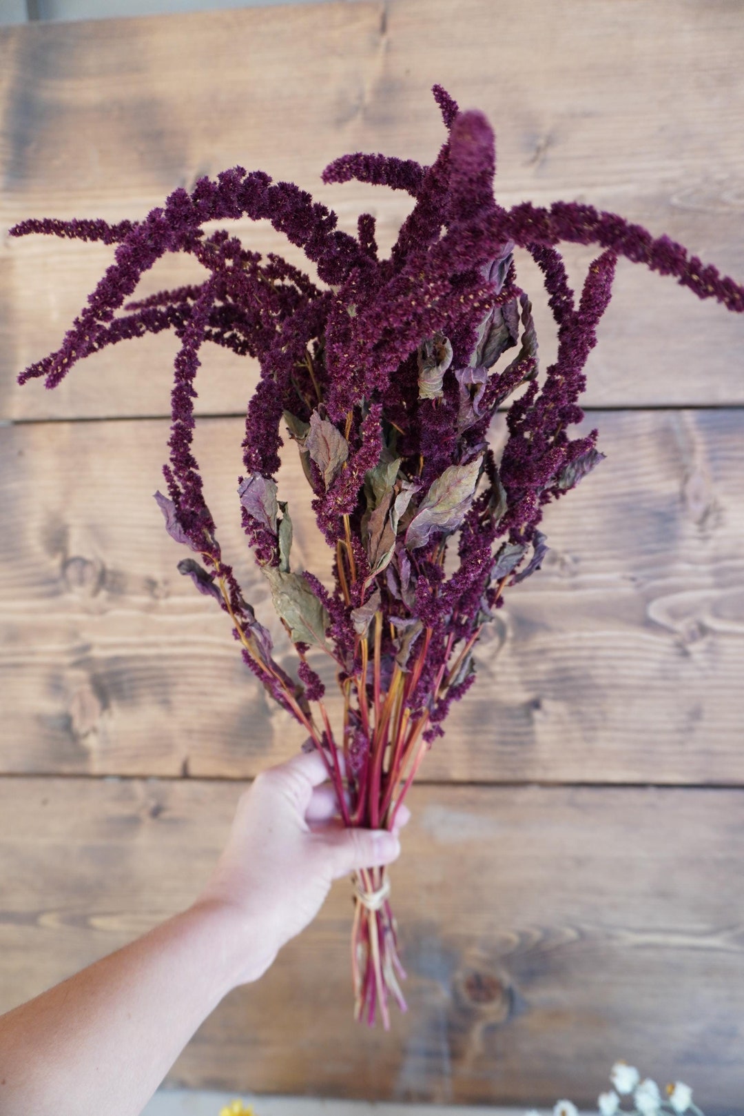 Dried Amaranth Flower Bouquet - Etsy