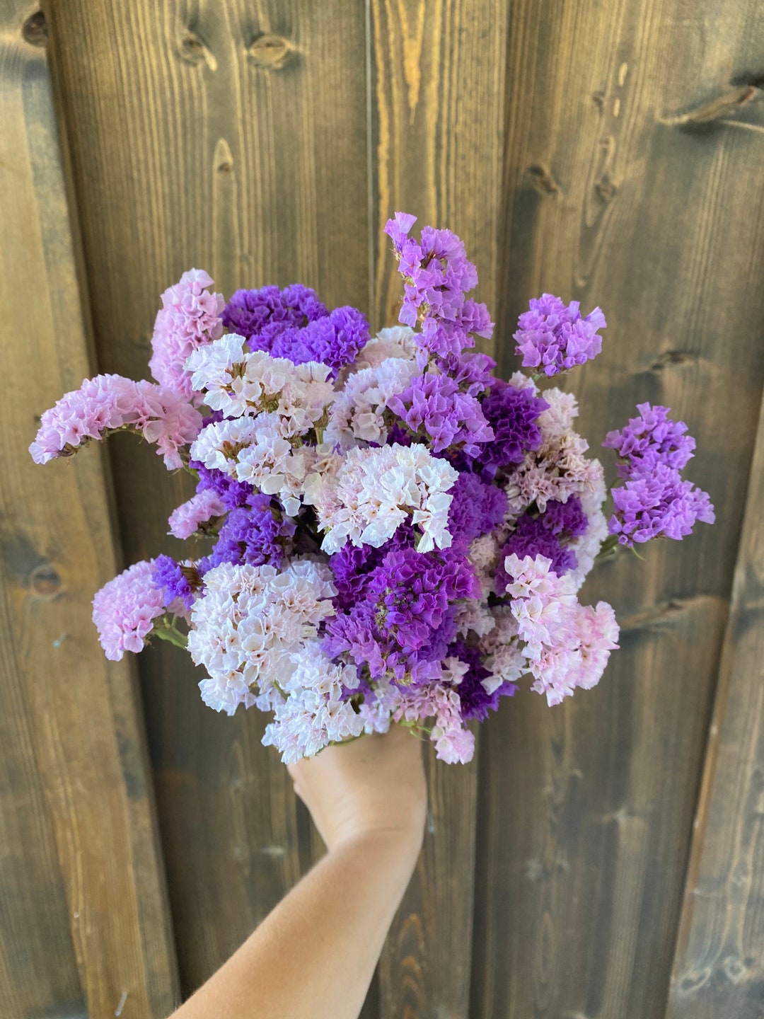 Dried Pastel Mix Statice Bouquet - Etsy