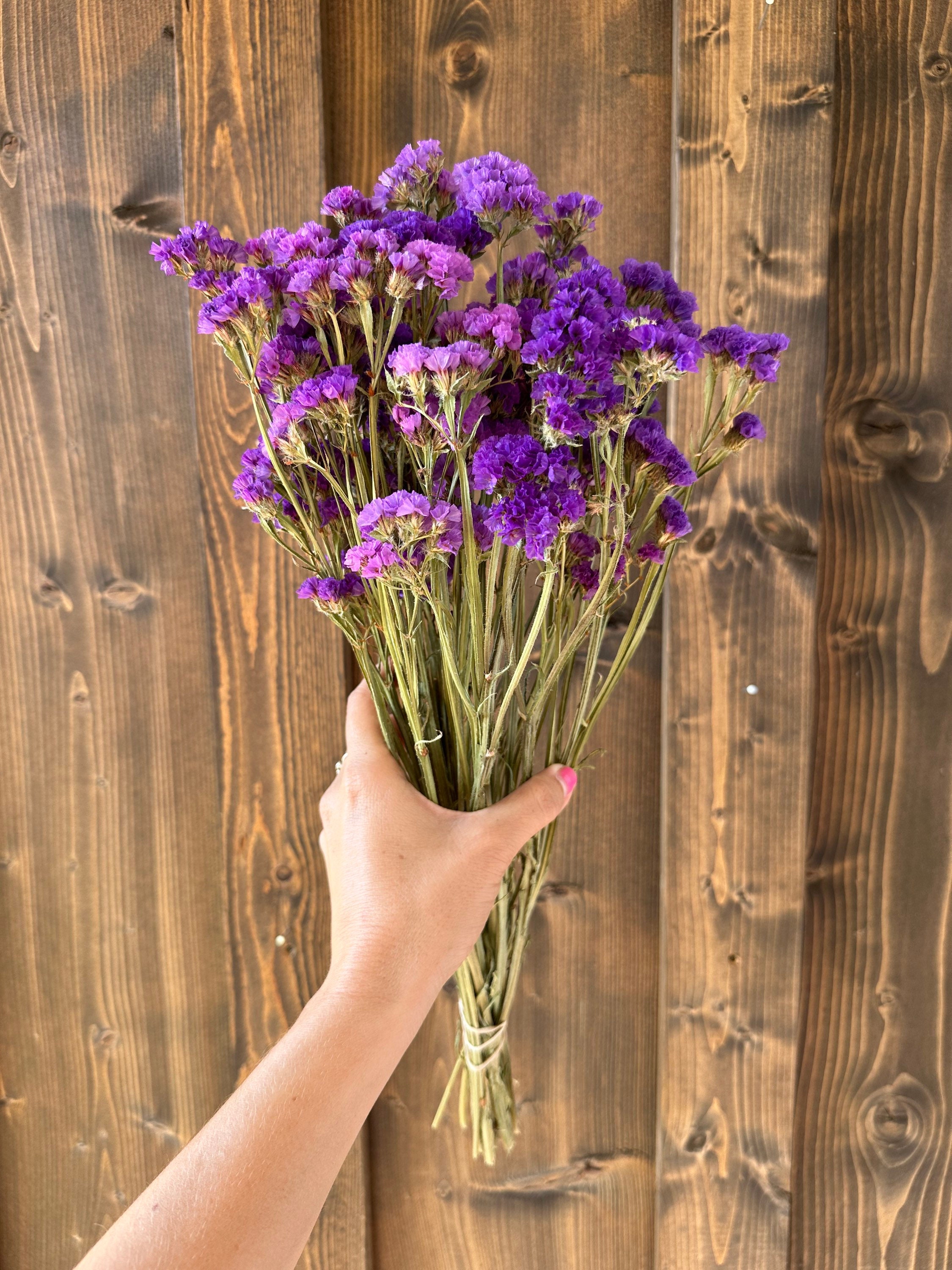 Dried Purple Statice Bouquet - Etsy