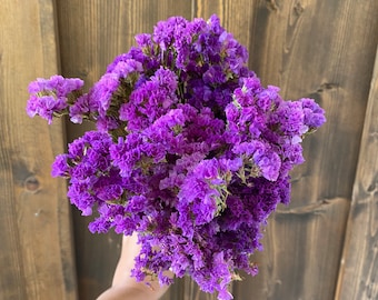 Preserved Naturally Dried Bunch of STATICE Limonium PURPLE Shower Bath ...