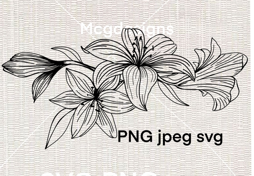 Lily Svg File, Jpeg, Png, Crafts, Sublimation, Cricut, Flowers, Lily - Etsy
