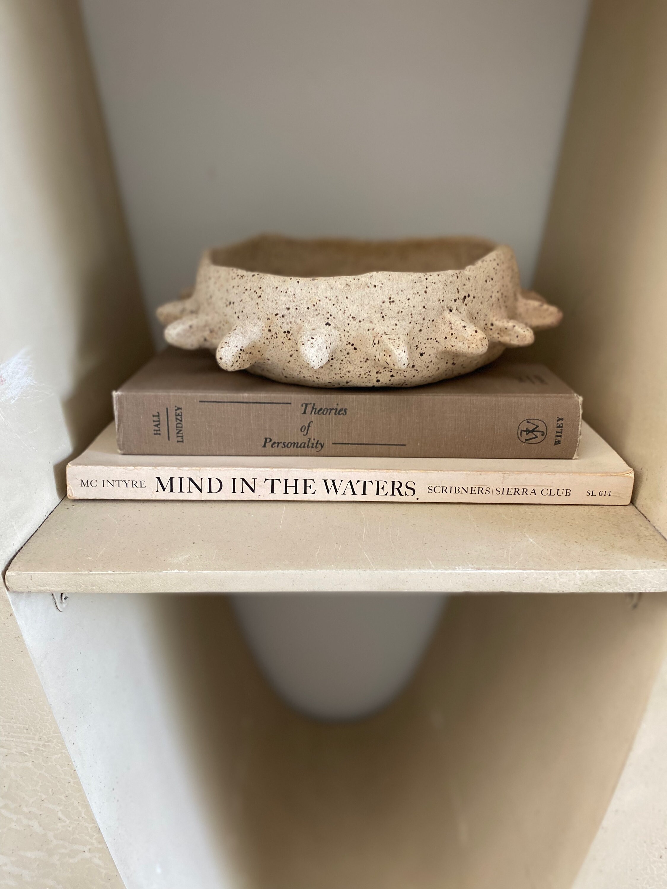 MADE TO ORDER Bidu Living Handmade Wabi Sabi Spike Bowl - Etsy