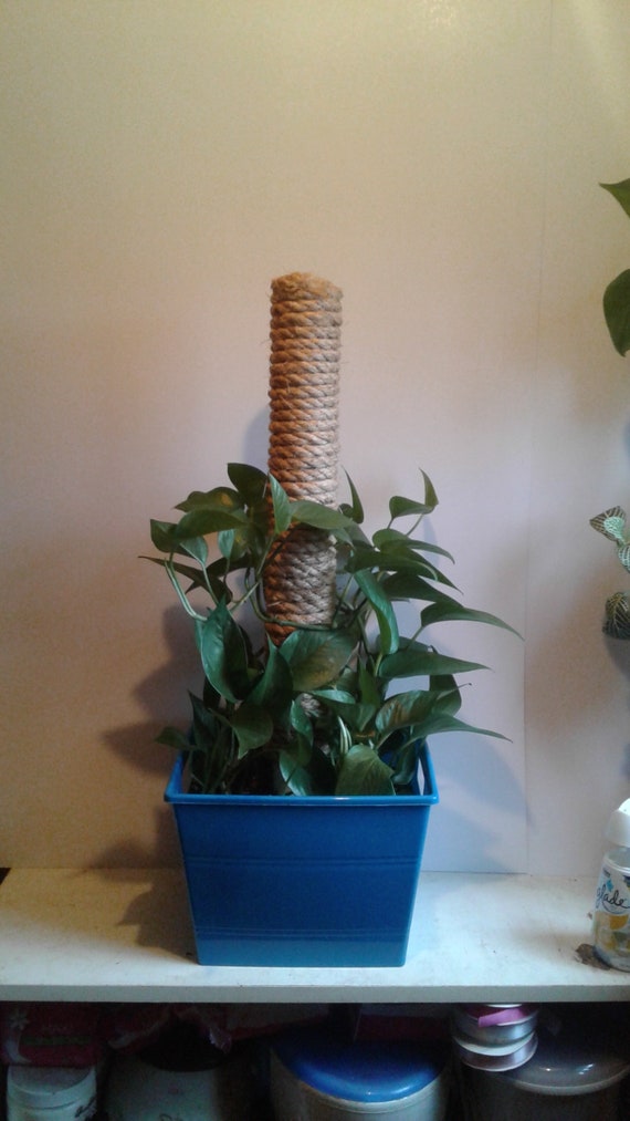 Natural Fiber Moss Pole Rope Pole Plant Support - Etsy