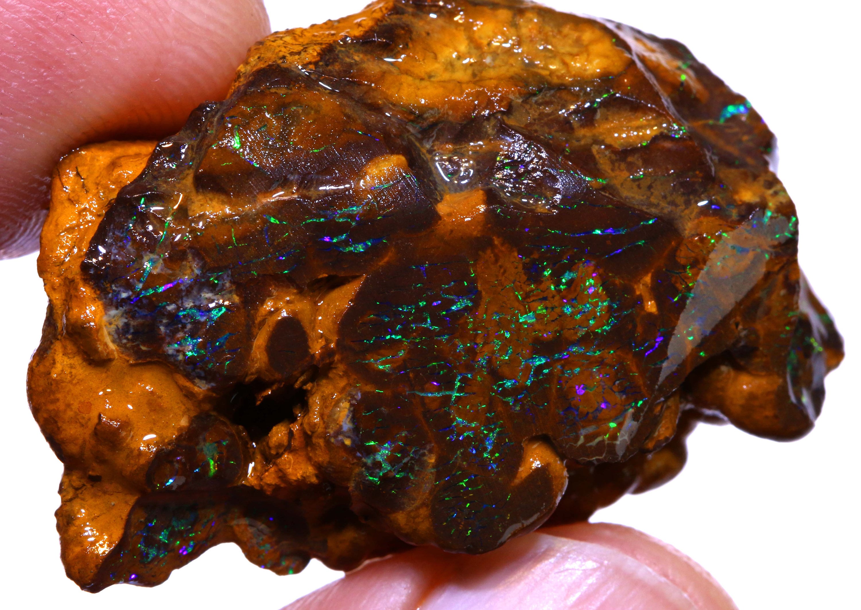 Jewelry Making & Beading Boulder Opal Rough From Opalton DO-3378 ...