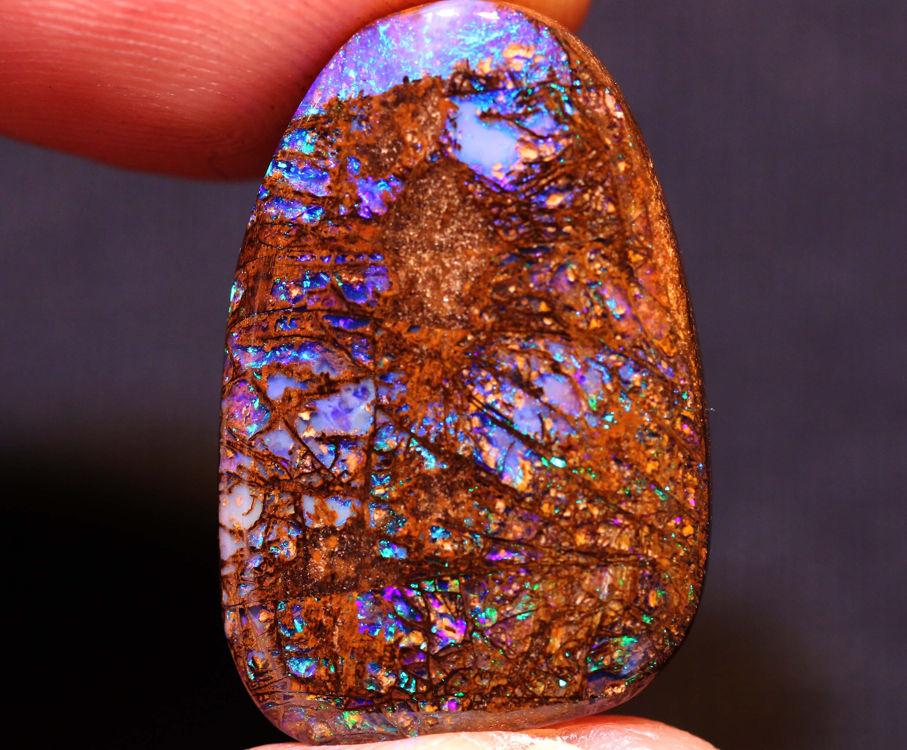 Gem Fire Australian Opal Polished Boulder Opal Wood Pendant Ring ...