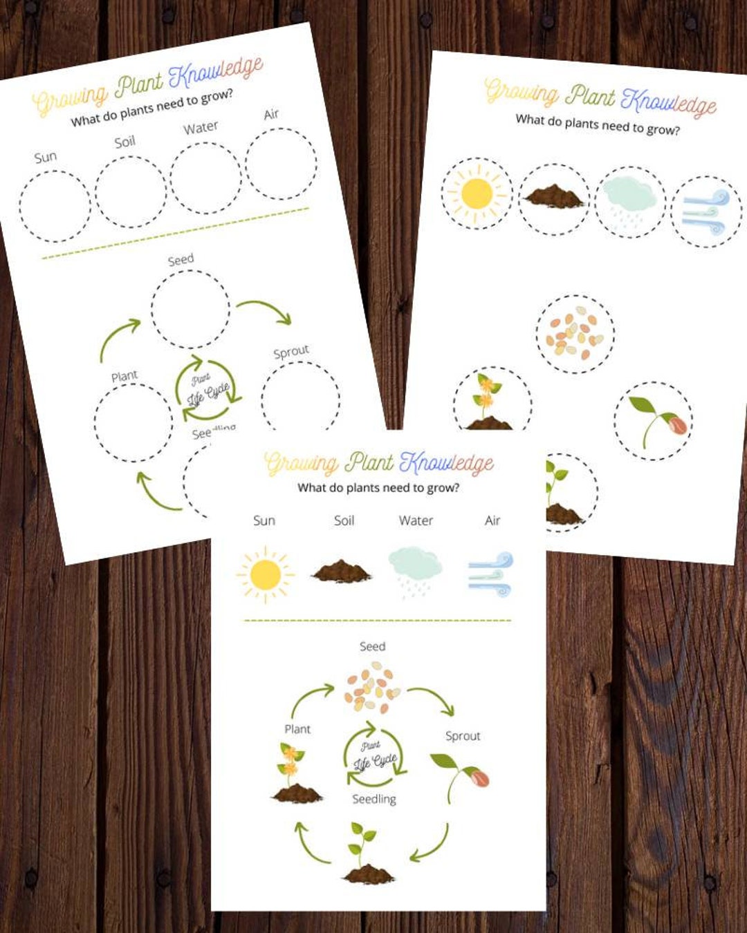 Plant Knowledge STEM Printable Pre-k Kindergarten Elementary - Etsy