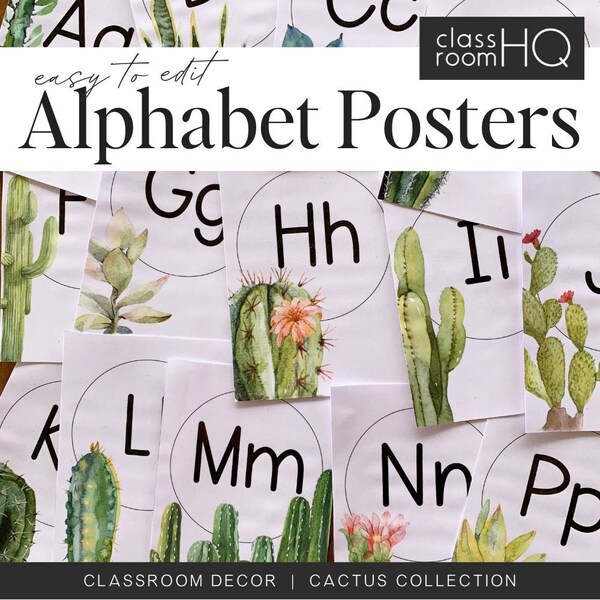 Classroom Cactus - Etsy