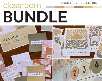 Classroom Posters Mega Bundle Prints Download, Groovy Classroom Poster ...