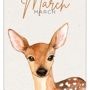 Woodland Forest INTO THE WOODS Classroom Birthday Display Pack - Etsy ...