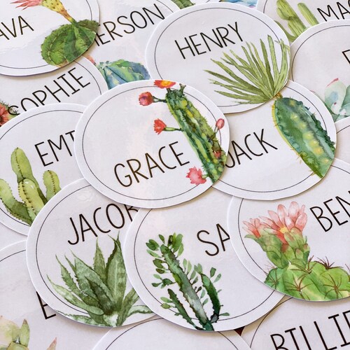 CACTUS Classroom Labels Editable Cactus Classroom Decor | Etsy