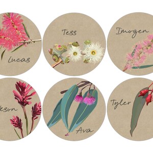 AUSSIE FLORA Classroom Labels + Signs Pack | Australian Eucalyptus ...