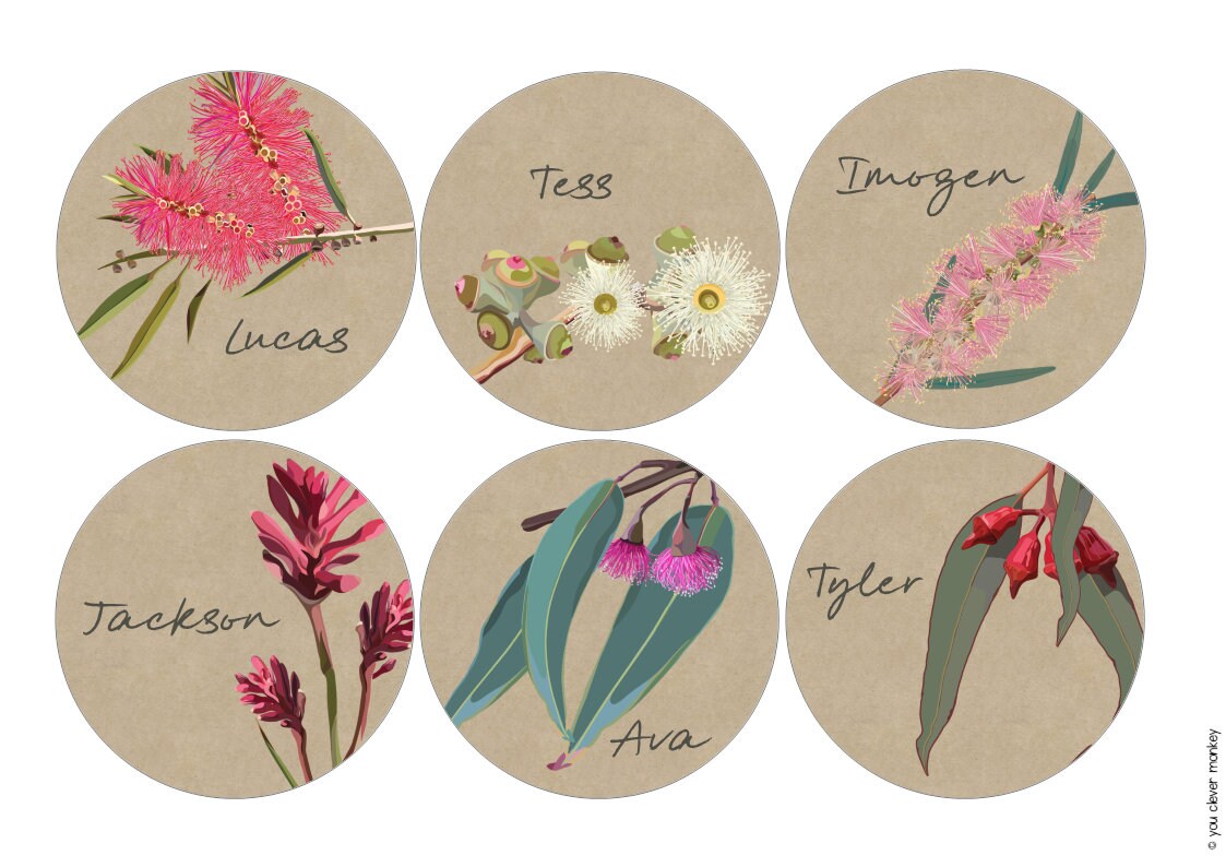 AUSSIE FLORA Classroom Labels Signs Pack - Etsy Australia