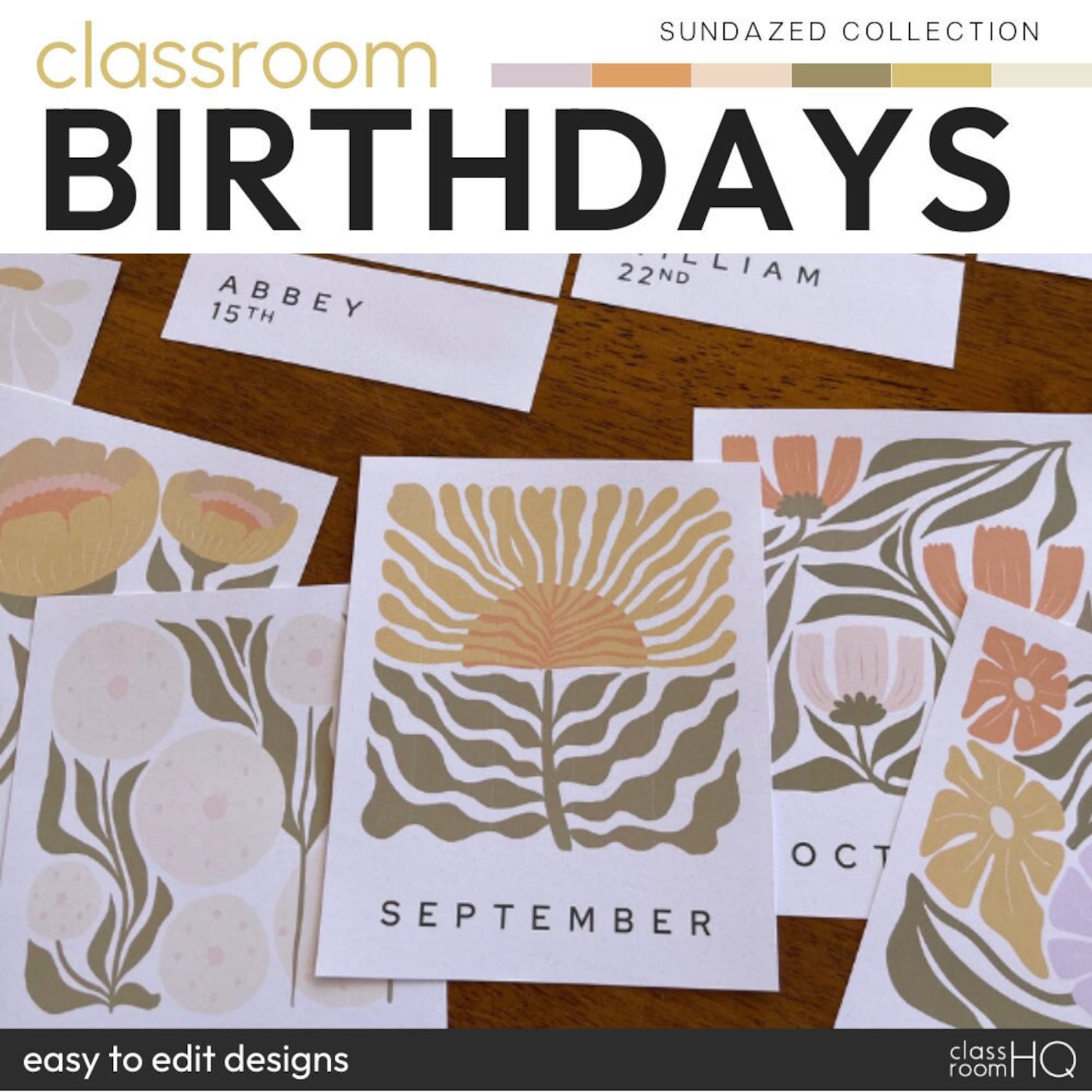 Groovy Vintage Retro Theme Editable Class Birthday Bulletin Board ...