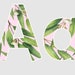 GUM LEAF Bulletin Board Lettering Pack Eucalyptus Class - Etsy Canada