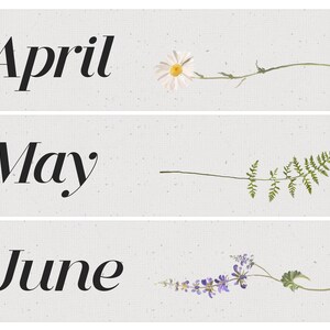 Vintage Cozy Natural Theme Classroom Decor Editable Large Classroom ...