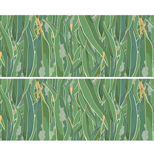 Classroom Bulletin Board Borders AUSSIE FLORA Classroom Decor - Etsy ...