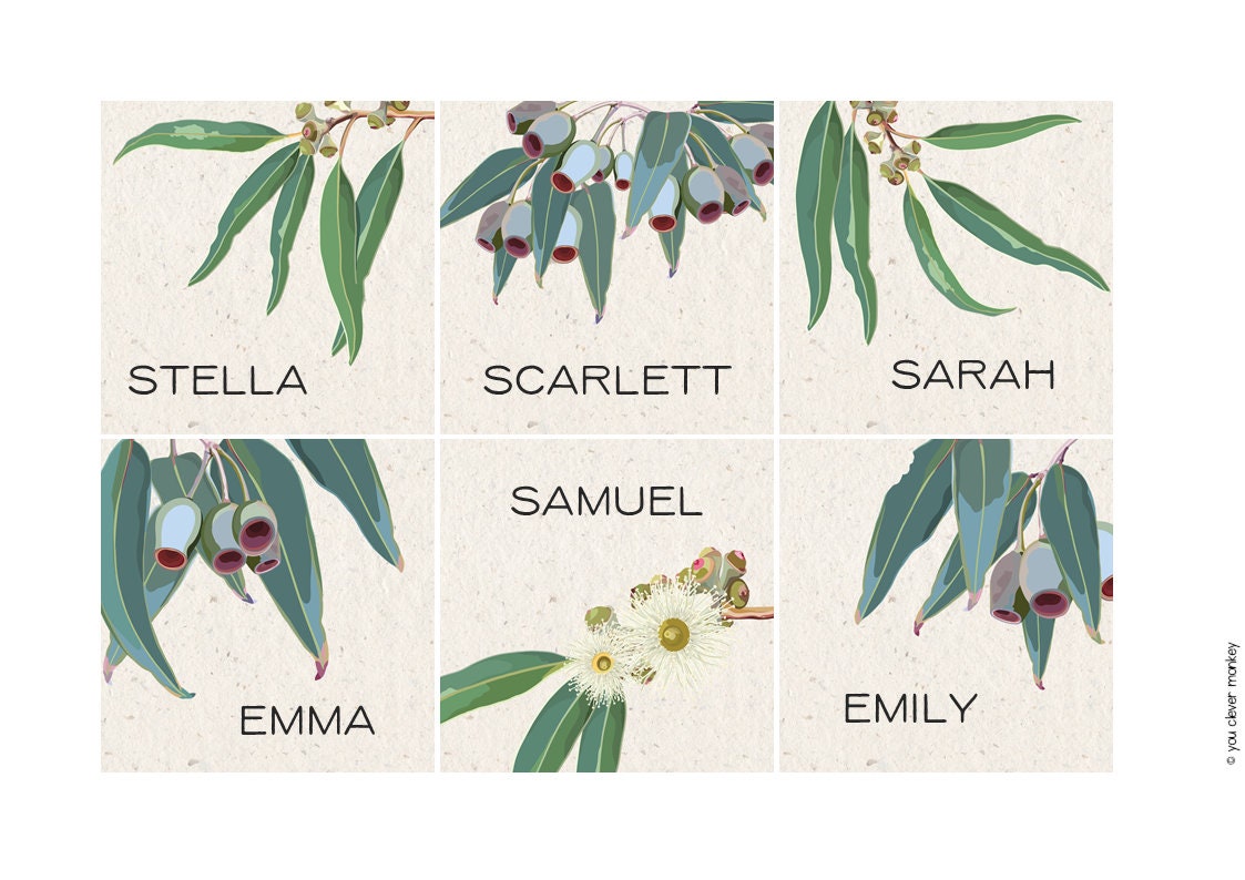 AUSSIE FLORA Classroom Labels + Signs Pack | Australian Eucalyptus ...