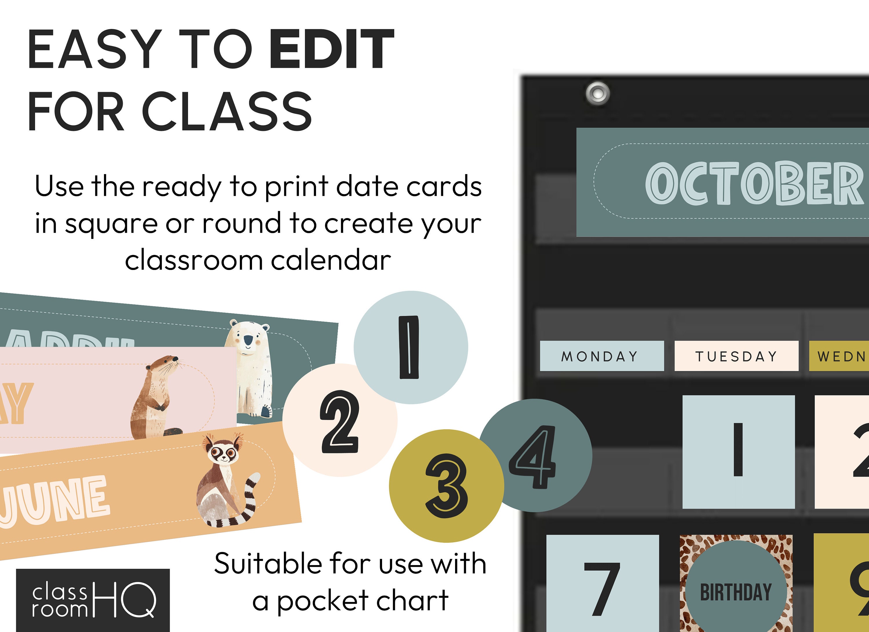 Wild Zoo Animal Theme Editable Classroom Calendar Kit ZOO TALES ...