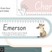 Wild Animal Zoo Theme Classroom Decor Student Desk Name Labels | ZOO ...