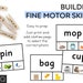 CVC Word Family Clip Cards | Science of Reading Aligned - Etsy