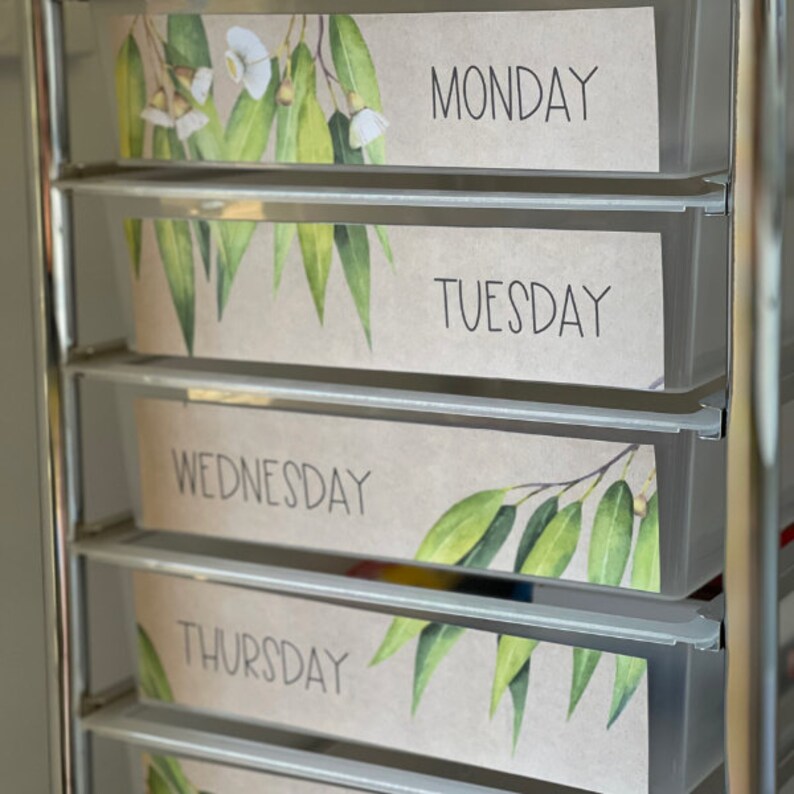 Eucalyptus GUM LEAF Classroom Decor BUNDLE - Etsy UK